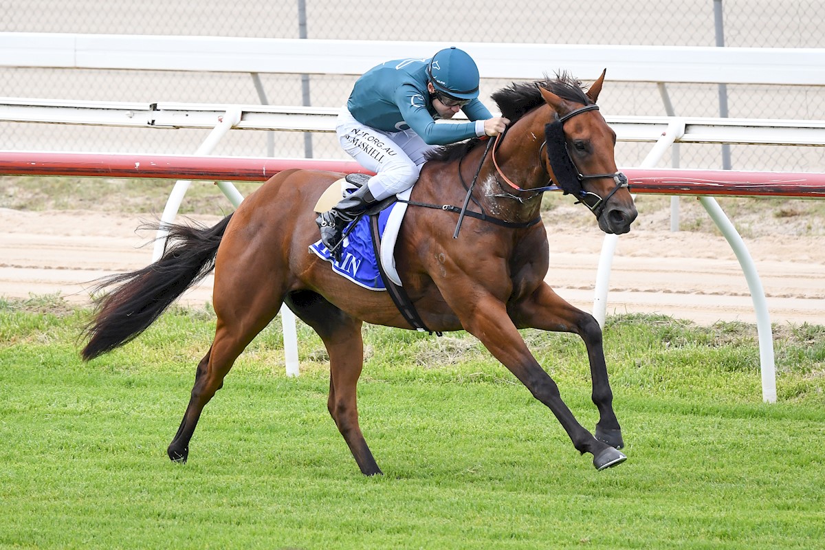 Colliver breaks through for maiden victory – Suman Hedge Bloodstock